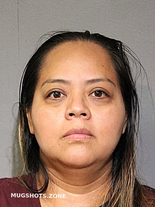 NADIA C ESCOBAR 05/26/2025 - Chicago Mugshots Zone