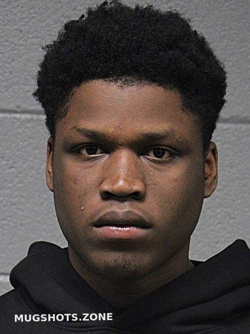 DZOHN DWAYNE AKINS 05/27/2025 - Chicago Mugshots Zone