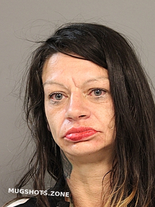 TARA S STRICKLIN 05/28/2025 - Chicago Mugshots Zone