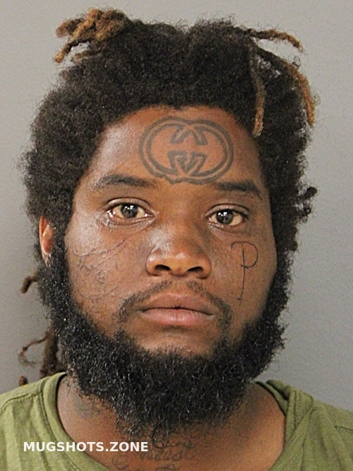 TERRELL E GARY 05/29/2025 - Chicago Mugshots Zone