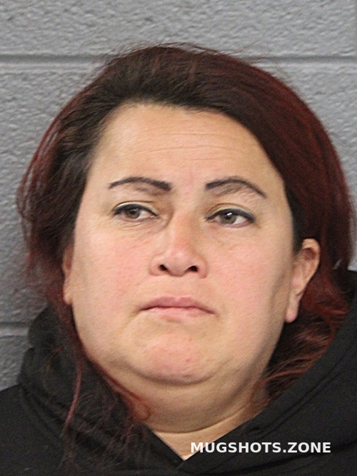 YAMILETH ORTEZ 05/29/2025 - Chicago Mugshots Zone