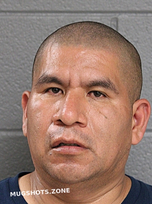 DAVID JAIMES VALLEJO 05/29/2025 - Chicago Mugshots Zone