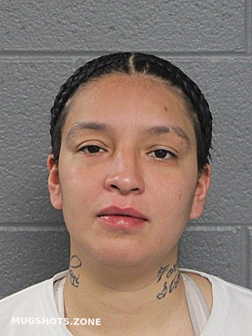 JUSTICE N CASTILLO 05/30/2025 - Chicago Mugshots Zone