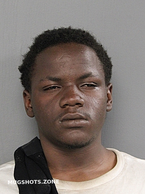 WILLIAM C HOLT 05/30/2025 - Chicago Mugshots Zone
