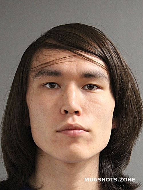 ALEX D CASTEEL 05/30/2025 - Chicago Mugshots Zone