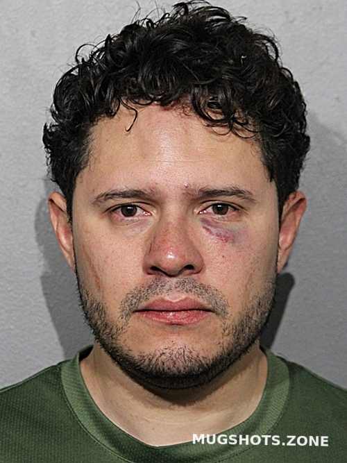 DAVID F SILVA 05/31/2025 - Chicago Mugshots Zone