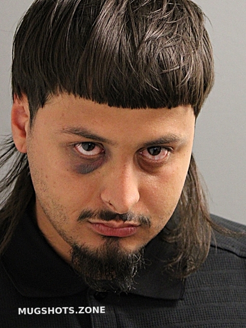 MICHAEL A ROLDAN 05/31/2025 - Chicago Mugshots Zone