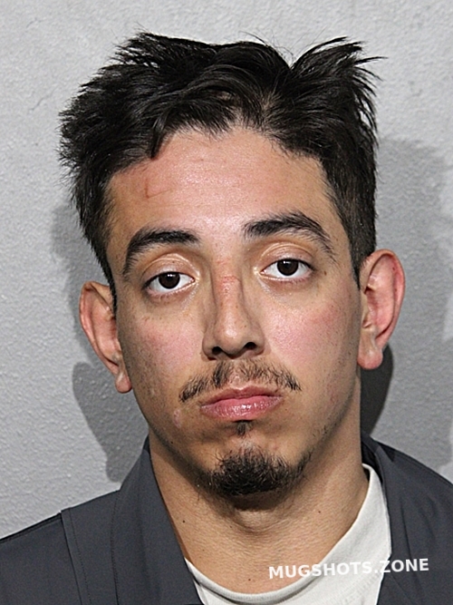 CESAR HERNANDEZ 05/31/2025 - Chicago Mugshots Zone