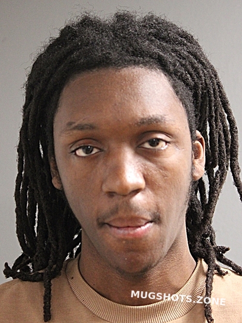 KELSEY L STEVENSON 05/31/2025 - Chicago Mugshots Zone