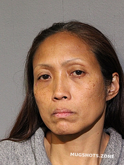 CHRISTINE V SUNOGAN 05/31/2025 - Chicago Mugshots Zone