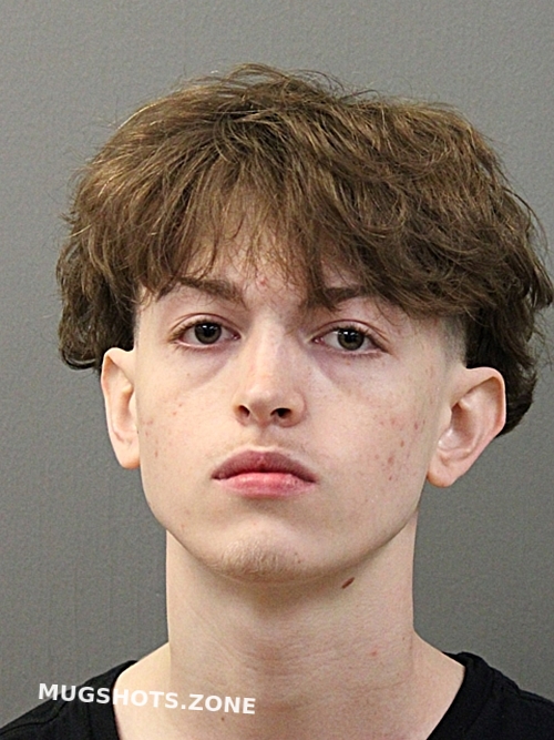 JACK ROBERT OGNAR 05/31/2025 - Chicago Mugshots Zone