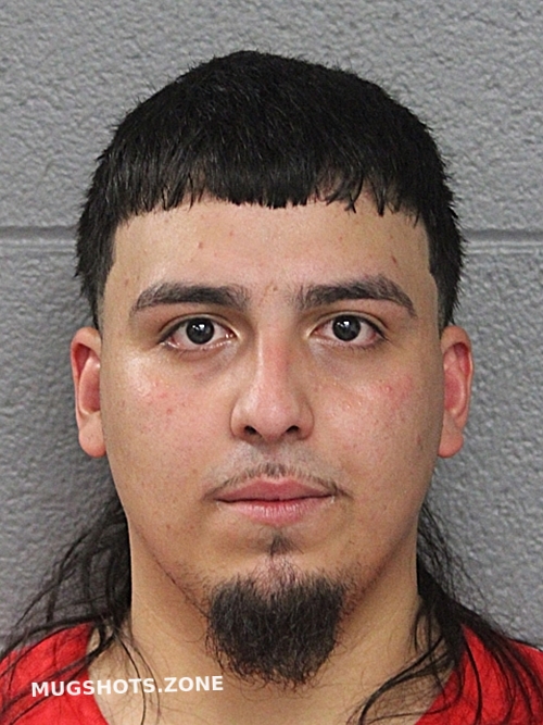 STEVEN A RAMIREZ 06/01/2025 - Chicago Mugshots Zone