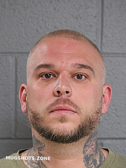 MICHAEL NOVAK 06/01/2025 - Chicago Mugshots Zone