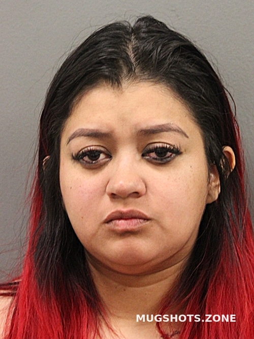 BARBARA A RODRIGUEZ PALACIO 06/01/2025 - Chicago Mugshots Zone