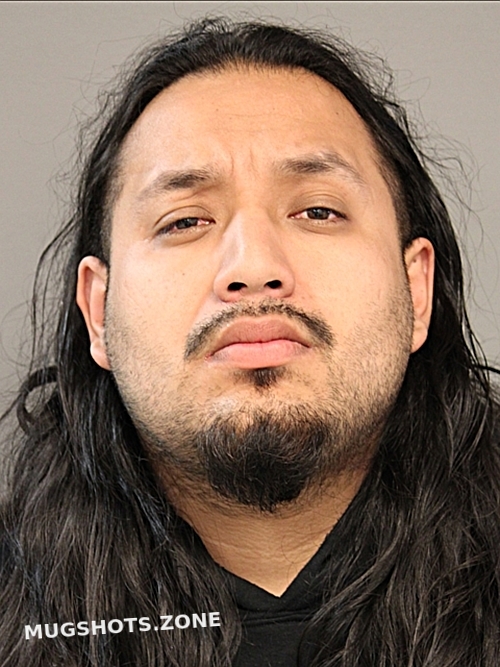 JERRY TERAN 06/02/2025 - Chicago Mugshots Zone