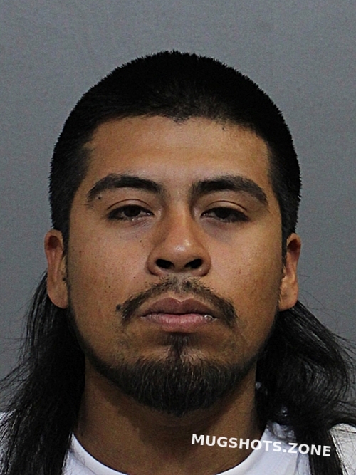 GIOVANNY ALEXIS GRANADOS 06/02/2025 - Chicago Mugshots Zone