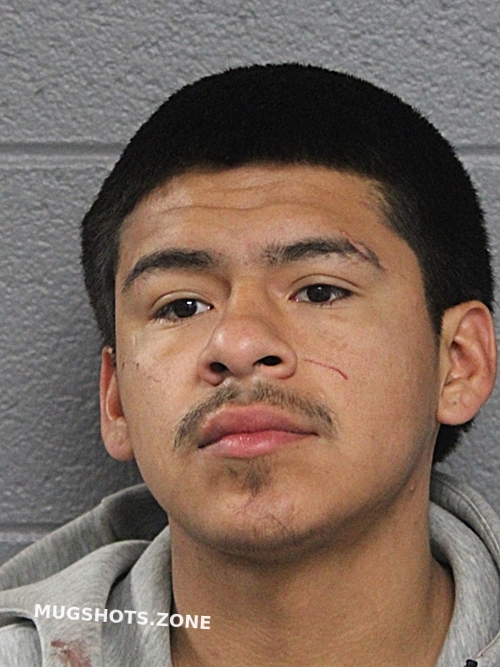 BRAYAN CHAGOYA 06/02/2025 - Chicago Mugshots Zone