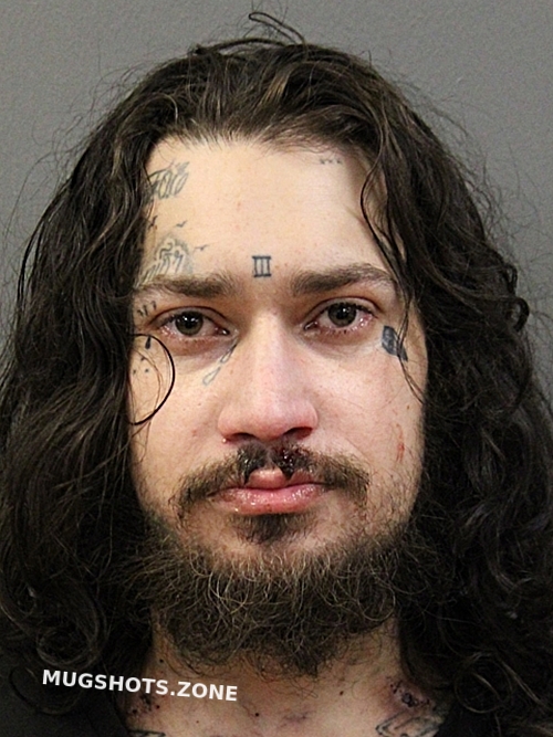 LUIS MERCADO-GONZALEZ 06/03/2025 - Chicago Mugshots Zone