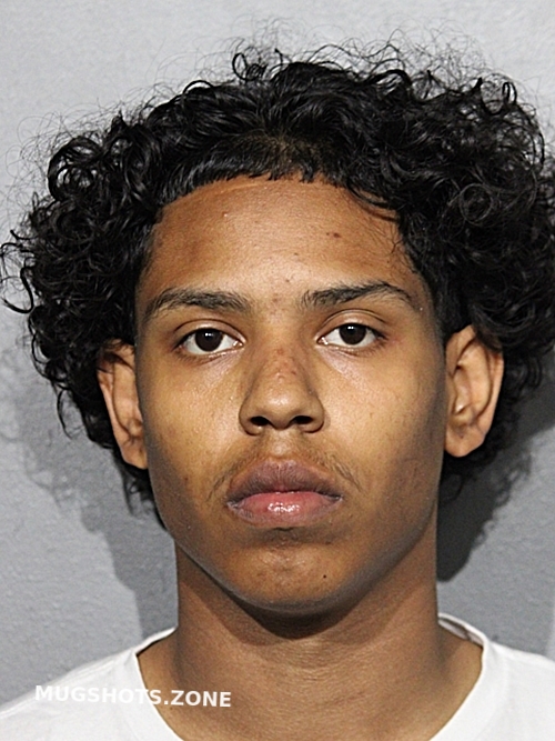 DARIN T WARD 06/03/2025 - Chicago Mugshots Zone