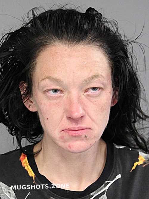 LINDSAY R CALVERT 06/03/2025 - Chicago Mugshots Zone