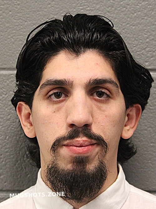 BOBI N HARNA 06/03/2025 - Chicago Mugshots Zone