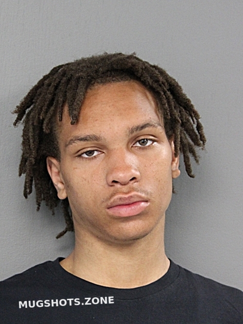 TYLER MCDONALD 06/03/2025 - Chicago Mugshots Zone