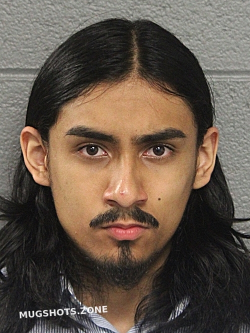 JESUS ELIZALDE 06/07/2025 - Chicago Mugshots Zone