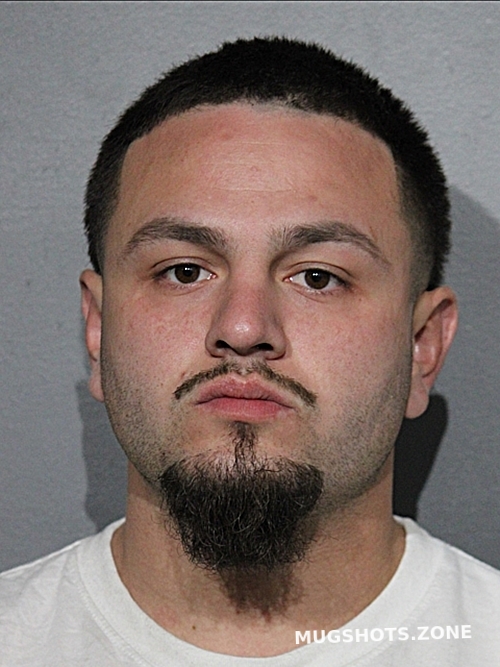 THOMAS HENRY III JAWOROWSKI 06/07/2025 - Chicago Mugshots Zone