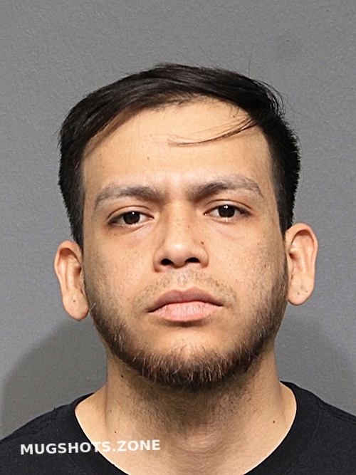 MARCOS L ALDANA 06/07/2025 - Chicago Mugshots Zone