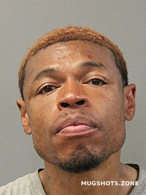 BRANDON L DAVIS 06/08/2025 - Chicago Mugshots Zone