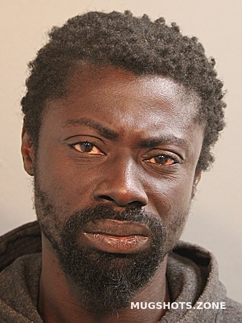 EBENEZER OSAM 06/11/2025 - Chicago Mugshots Zone