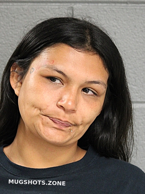 ANGELINA N RODRIGUEZ 06/13/2025 - Chicago Mugshots Zone