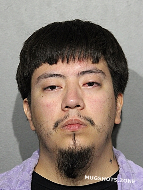 ALEXIS SOLIS 06/13/2025 - Chicago Mugshots Zone