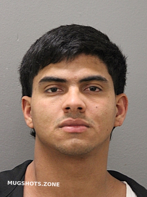 ANTHONY RAFAEL TORRES FUENTES 06/13/2025 - Chicago Mugshots Zone