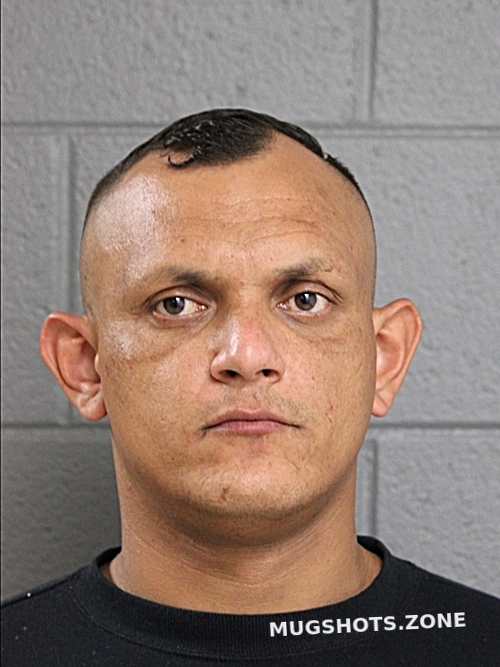 LEONARDO A ACUNA MENDEZ 06/13/2025 - Chicago Mugshots Zone