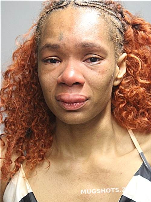 ALEXIS M. DAVIS 06/14/2025 - Chicago Mugshots Zone