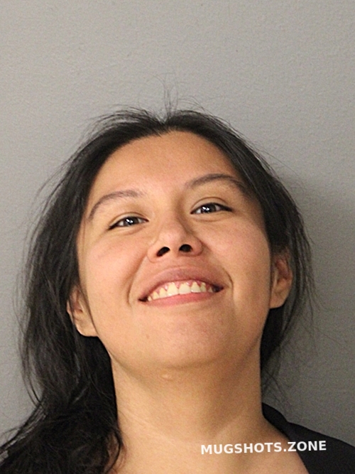 BRENDA SOTO 06/14/2025 - Chicago Mugshots Zone