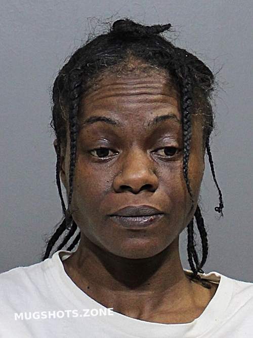 ELIZABETH B DAWSON 06/14/2025 - Chicago Mugshots Zone