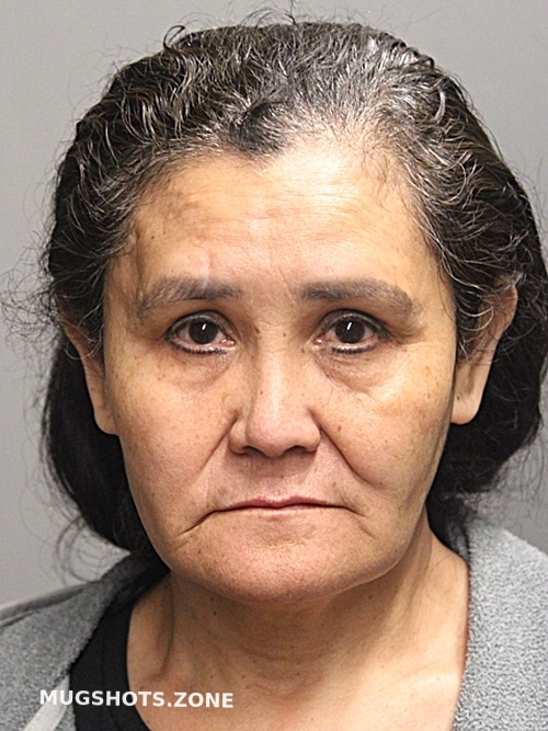 MARIA LORENA GONZALEZ 06/14/2025 - Chicago Mugshots Zone
