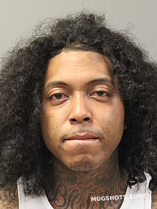 NICOLOS FIELDS 06/14/2025 - Chicago Mugshots Zone