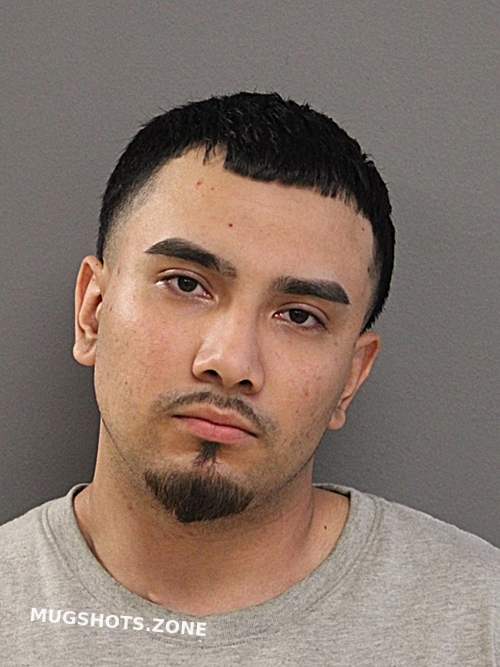 DANIEL ALEJANDRO REYES 06/15/2025 - Chicago Mugshots Zone