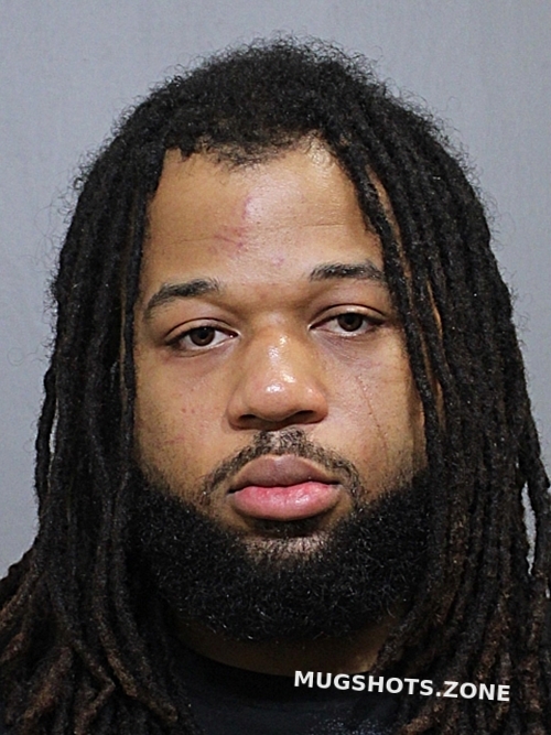 WILLIAM M GERRING 06/15/2025 - Chicago Mugshots Zone