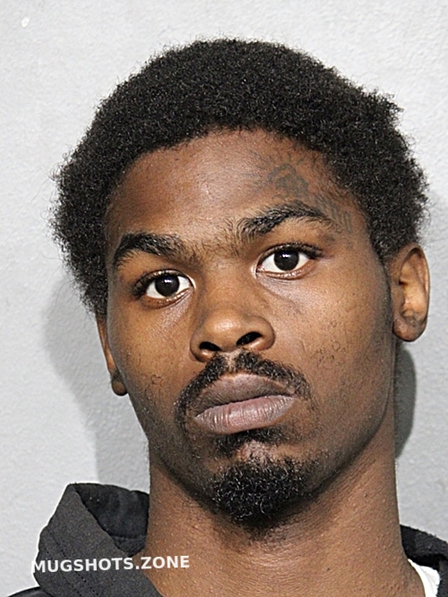 BRYAN T TART 06/16/2025 - Chicago Mugshots Zone