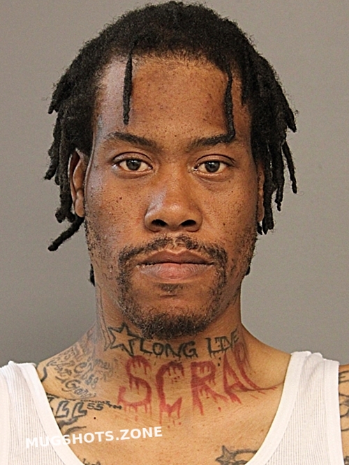 GREGORY M HOLT 06/17/2025 - Chicago Mugshots Zone
