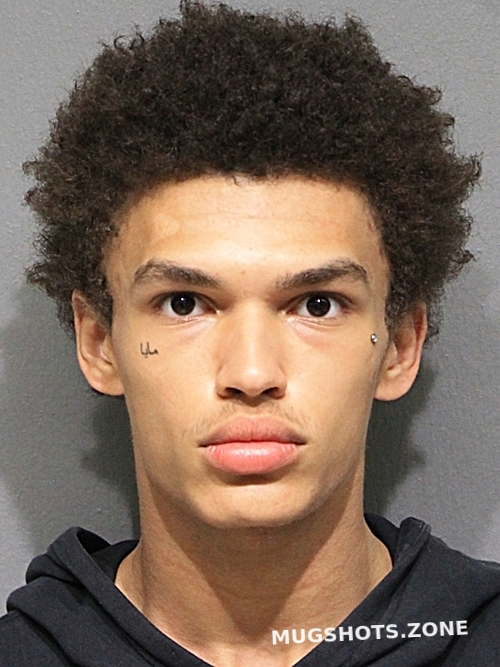 KEVIN J SULLIVAN 06/17/2025 - Chicago Mugshots Zone