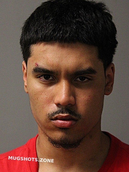 ALEX C ZAMORA JR 06/17/2025 - Chicago Mugshots Zone