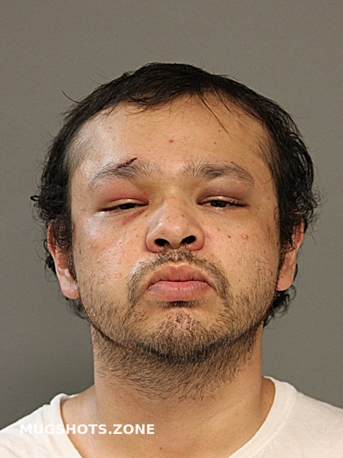 RICK CARLOS 06/17/2025 - Chicago Mugshots Zone