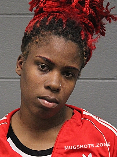 ARIEL D BUSH 06/19/2025 - Chicago Mugshots Zone