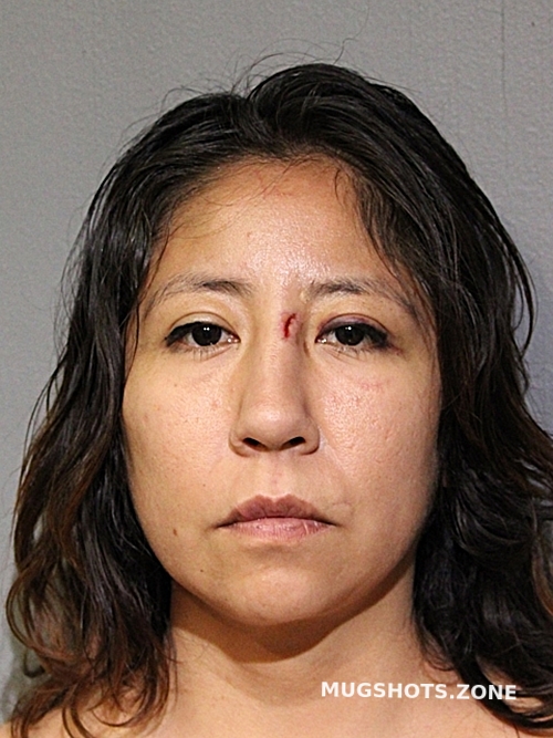LUCIA SALGADO 06/19/2025 - Chicago Mugshots Zone