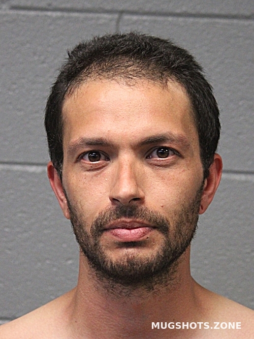 PRESTON M ELLIS 06/20/2025 - Chicago Mugshots Zone
